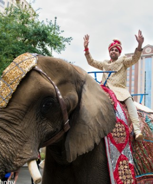 15 Awesome Unique Groom Entry Ideas for a Quirky Wedding Entry